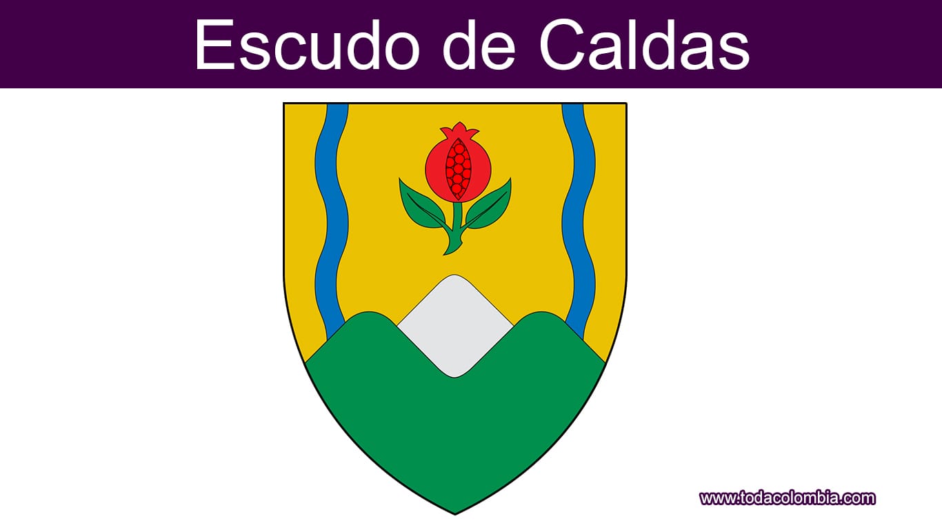 Heraldica de Caldas: Descubriendo símbolos y emblemas de la región