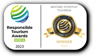 Descubre la fascinante heráldica de Manyoni y su historia