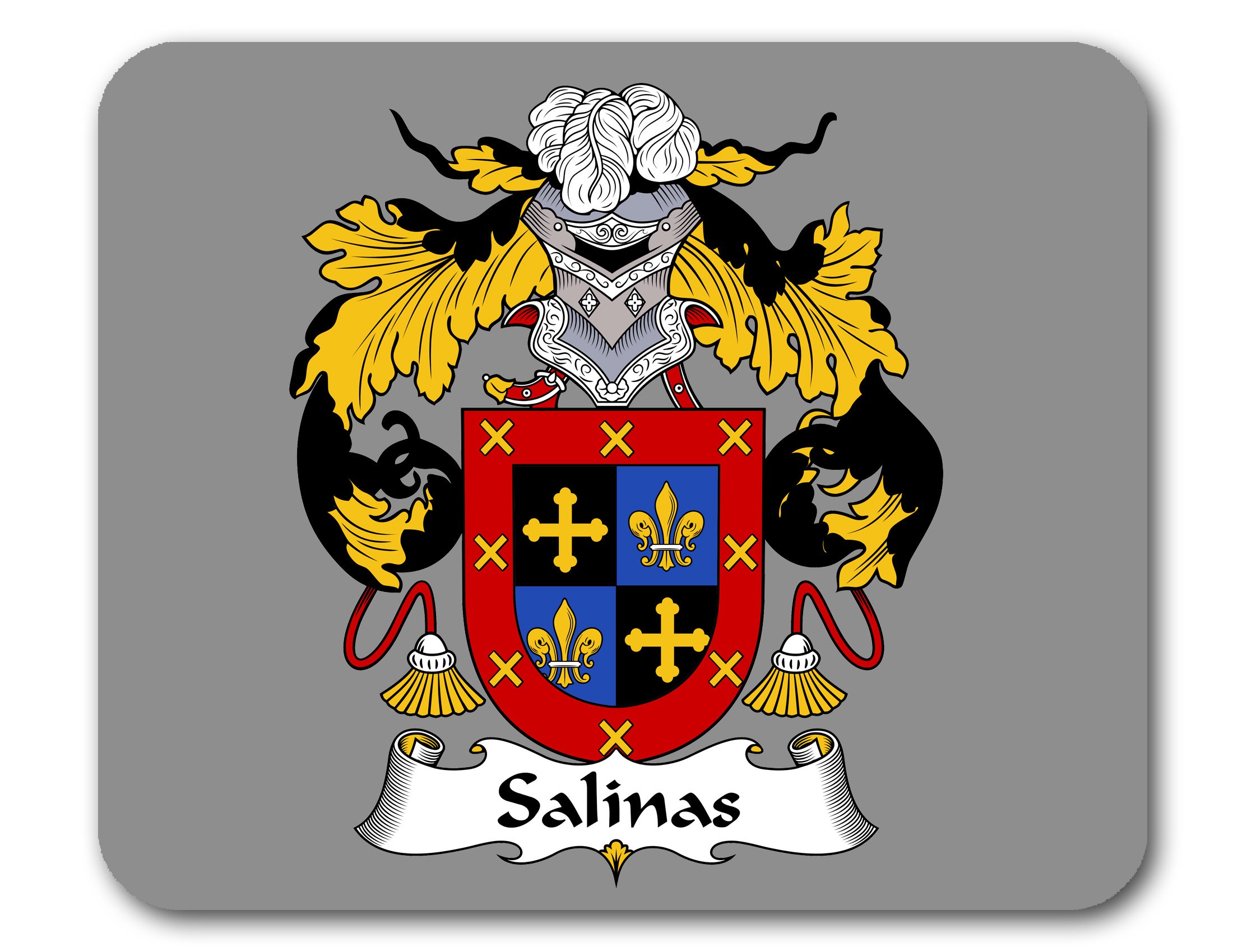 Descubre la fascinante heráldica del apellido Salinas y su significado