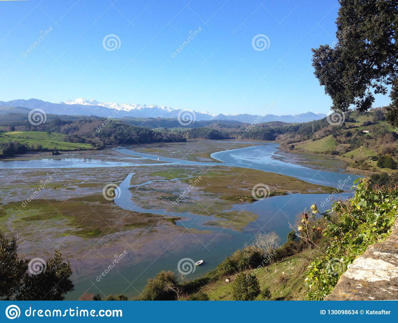 Descubre la fascinante heráldica del apellido Del Rio y su significado