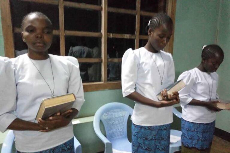 Descubre la rica historia detrás de la heráldica de Kisantu